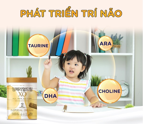 Sữa XO số 2 nội địa Hàn Quốc lon 800g cho trẻ 6 đến 12 tháng tuổi - suachobeyeu.vn